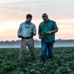 High Oleic Soybeans | United Soybean Board