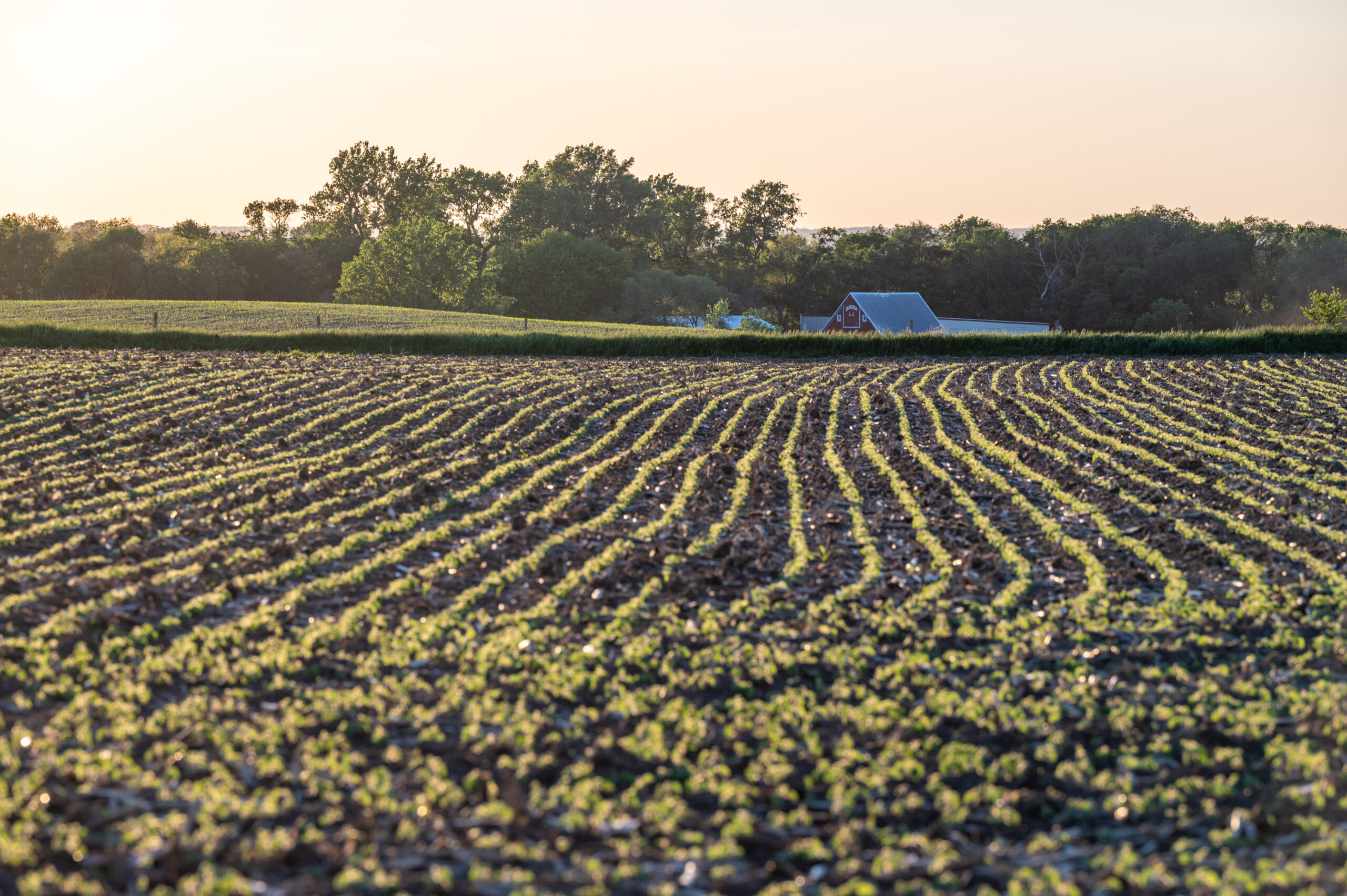 New Study Finds U.S. Soybean Industry Has $124 Billion Impact on the ...