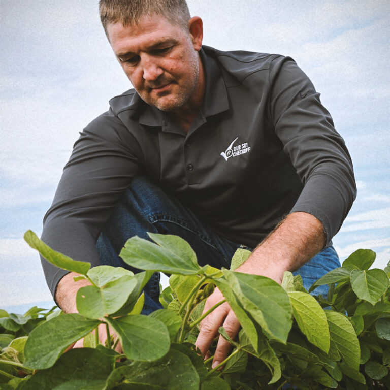 High Oleic Soybeans | United Soybean Board